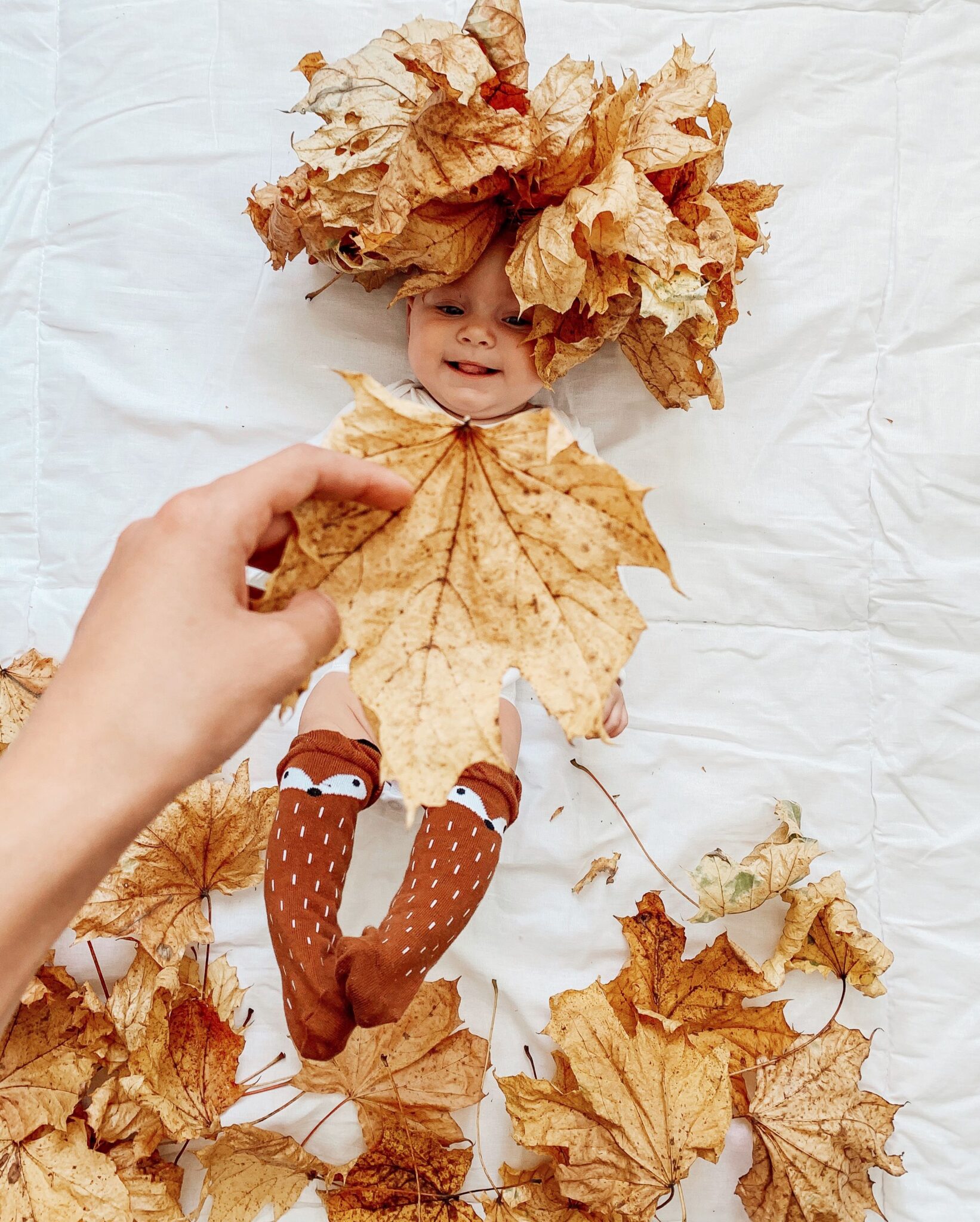 Adorable Fall Baby Photoshoot Ideas You Won't Want to Miss!